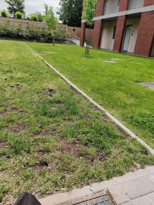 Kunstgras als alternatief voor grasdals